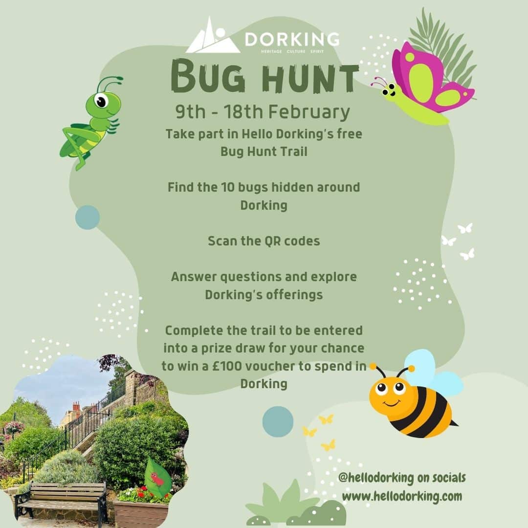 Share our Bug Hunt Trail! - Hello Dorking